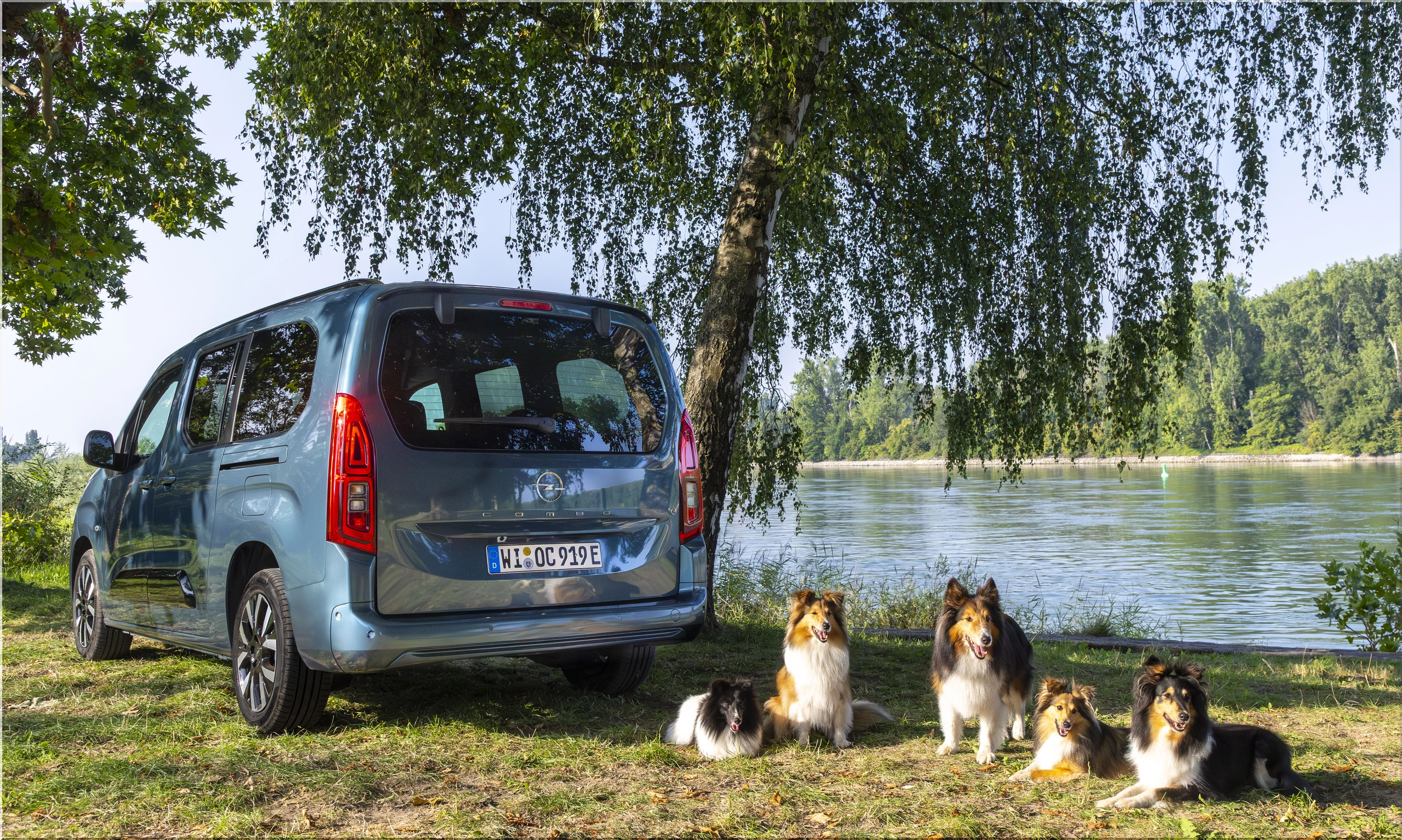 Opel Combo Electric: Dog-Friendly Family EV with 344 km Range | EV Stories